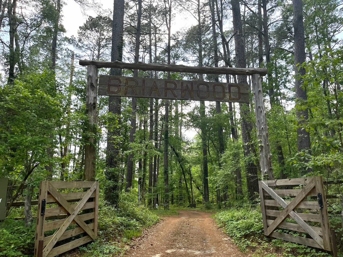 Briarwood Nature Preserve & The Legacy of Caroline Dormon in ...