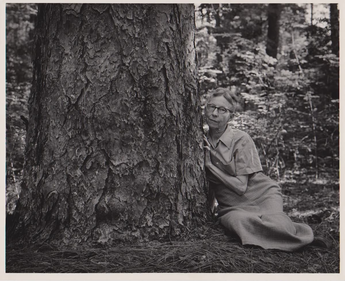 Briarwood Nature Preserve & The Legacy of Caroline Dormon in ...