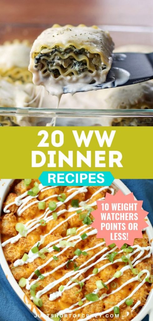 20 Weight Watchers Dinner Recipes - Just Short of Crazy