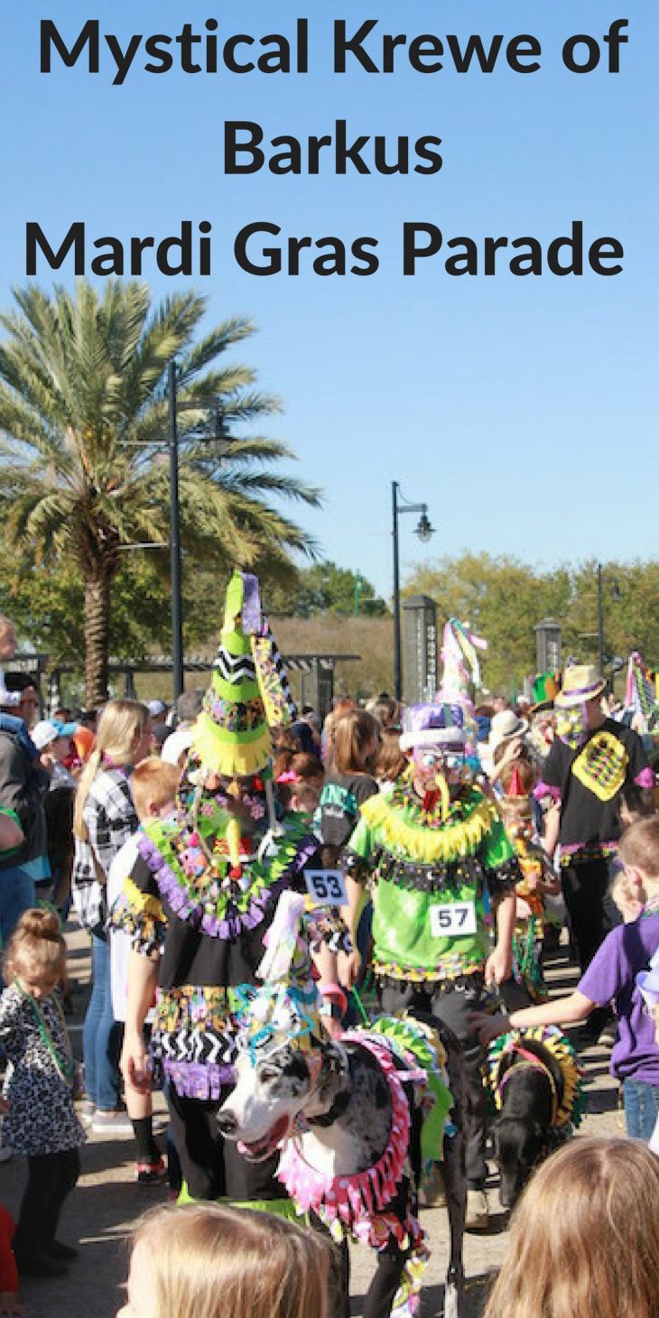 Mystical Krewe of Barkus Mardi Gras Parade - Just Short of Crazy