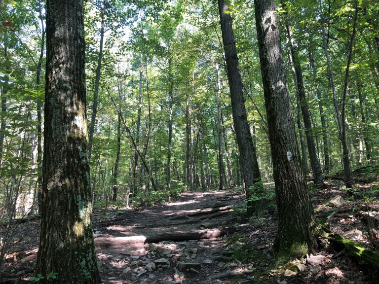 6 Places You Absolutely Must Visit in State College, PA