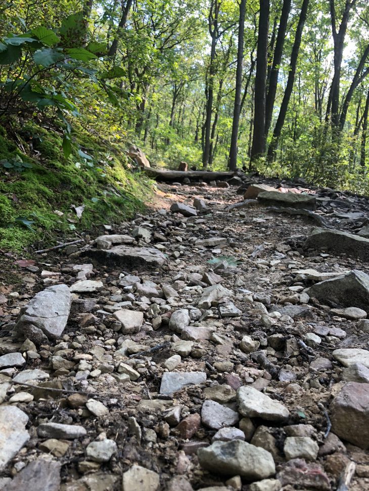 6 Places You Absolutely Must Visit in State College, PA