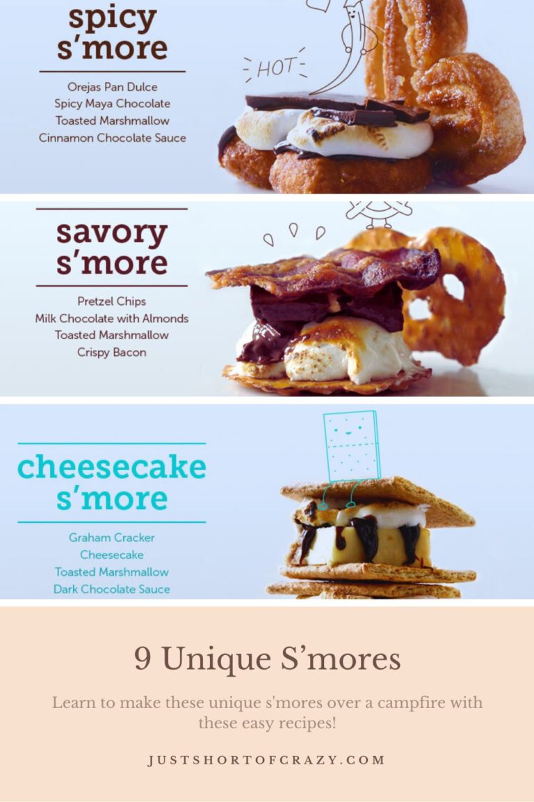 Try These 9 Unique S'mores Recipes - Just Short of Crazy