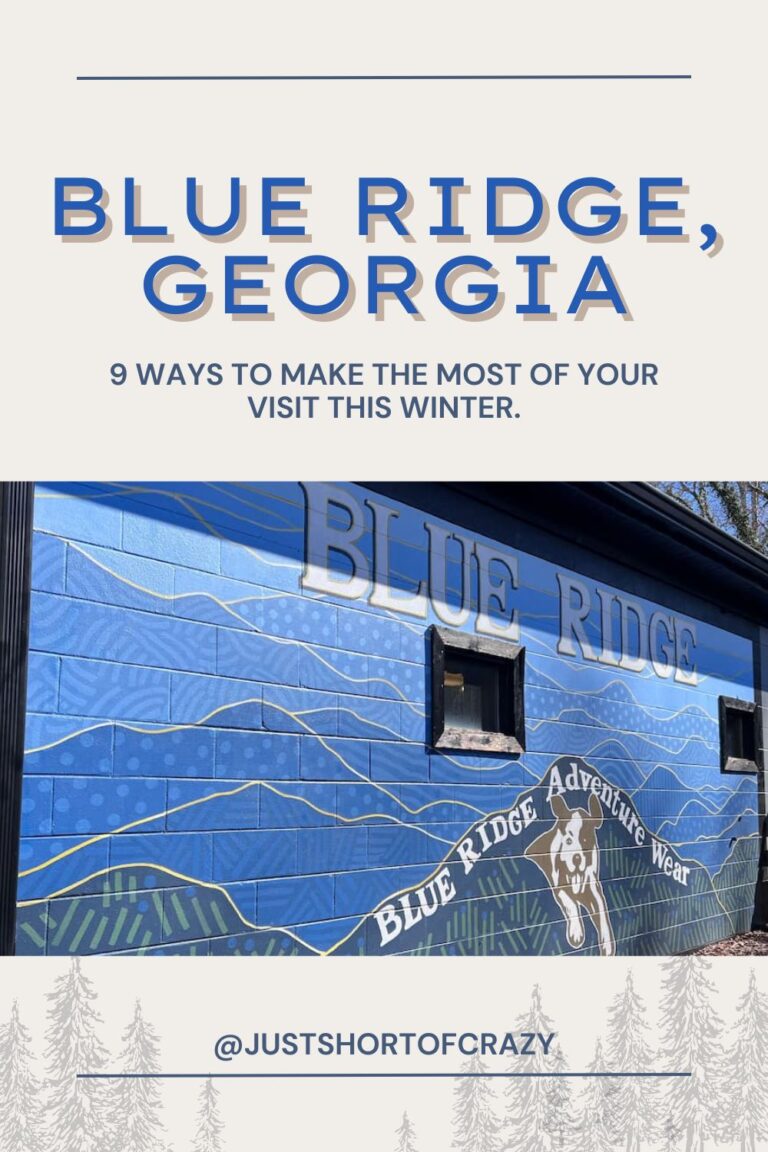 9 Ways To Make The Most of Your Visit To Blue Ridge, Georgia This ...