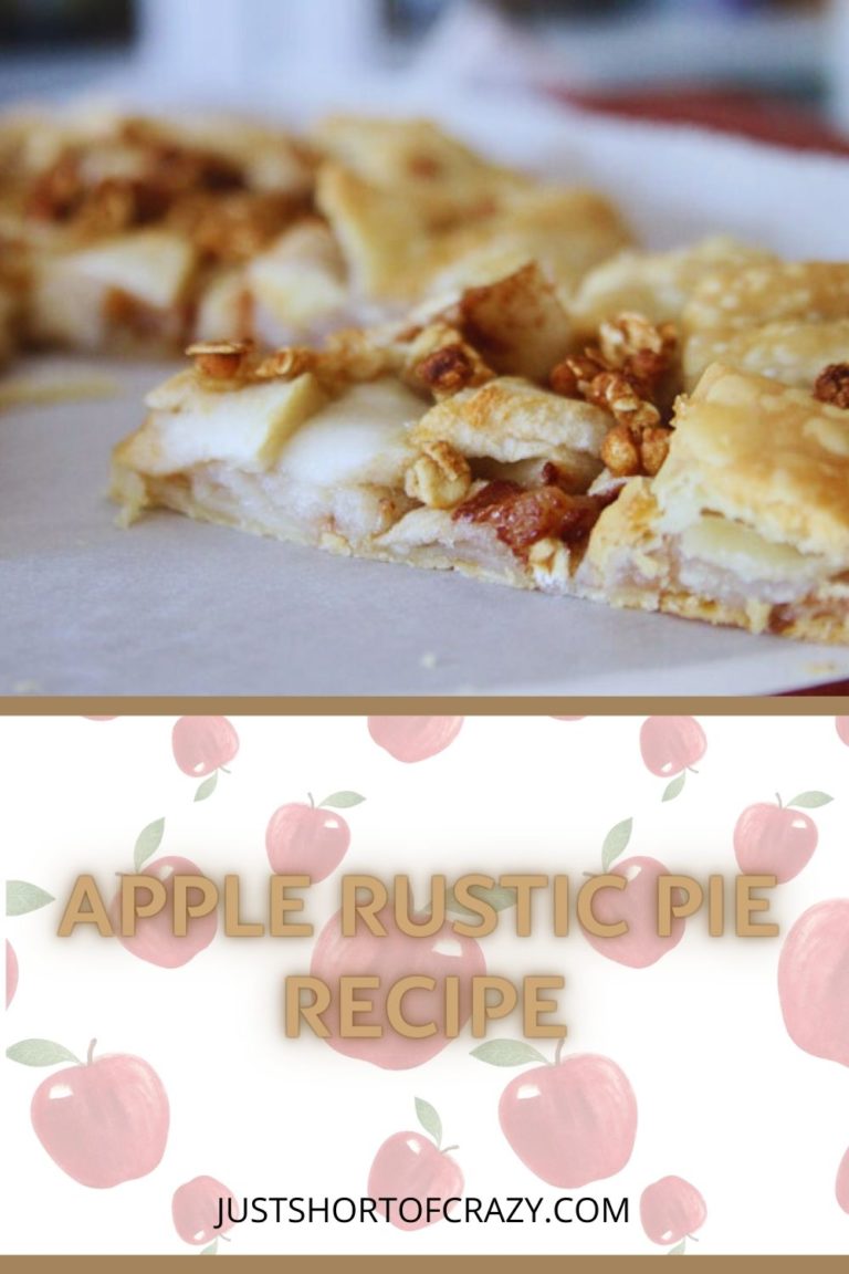 Easy 5 Ingredient Apple Rustic Pie Recipe - Just Short of Crazy