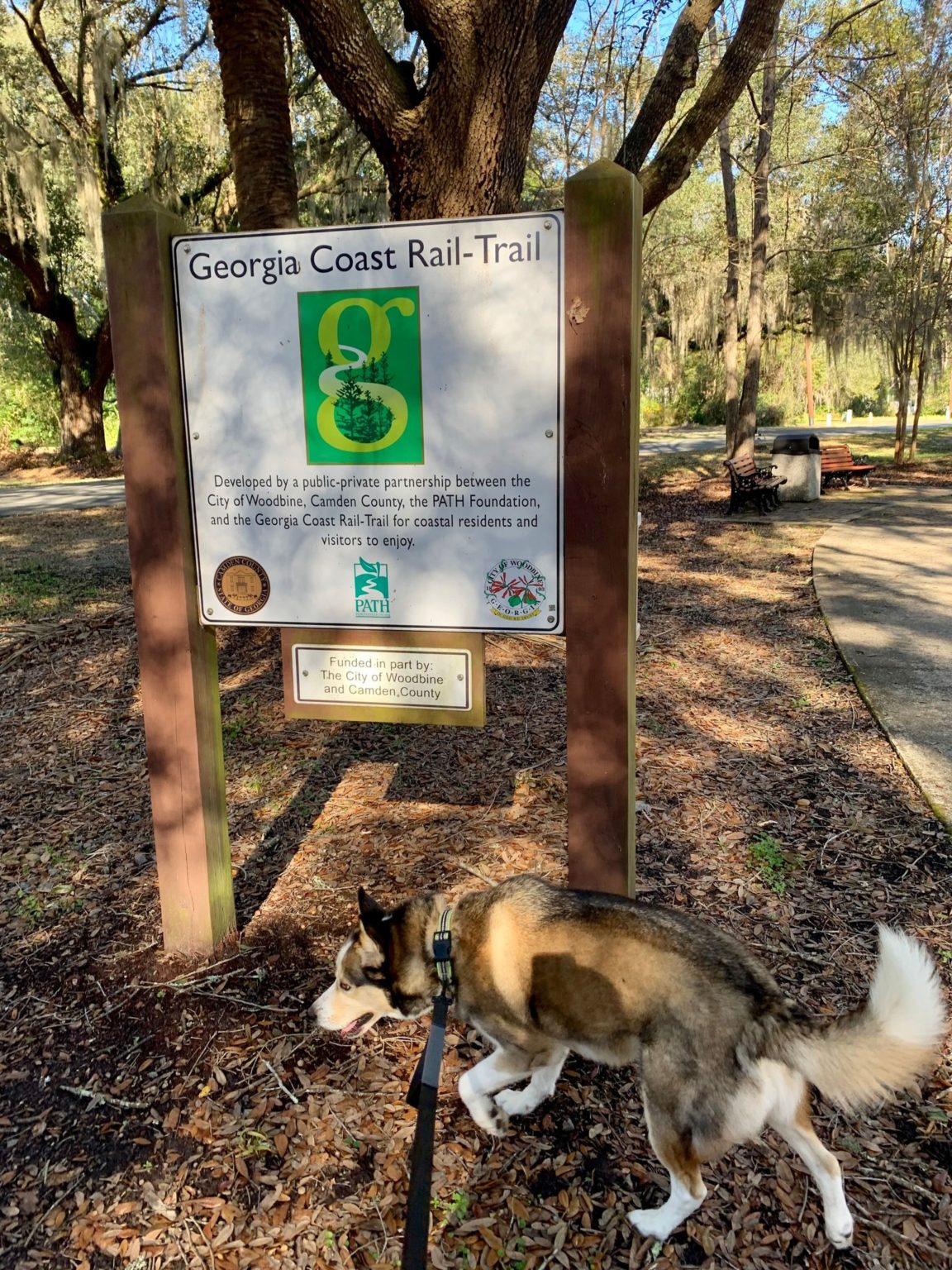 4 Reasons Why You're Going To Want To Visit Kingsland Georgia