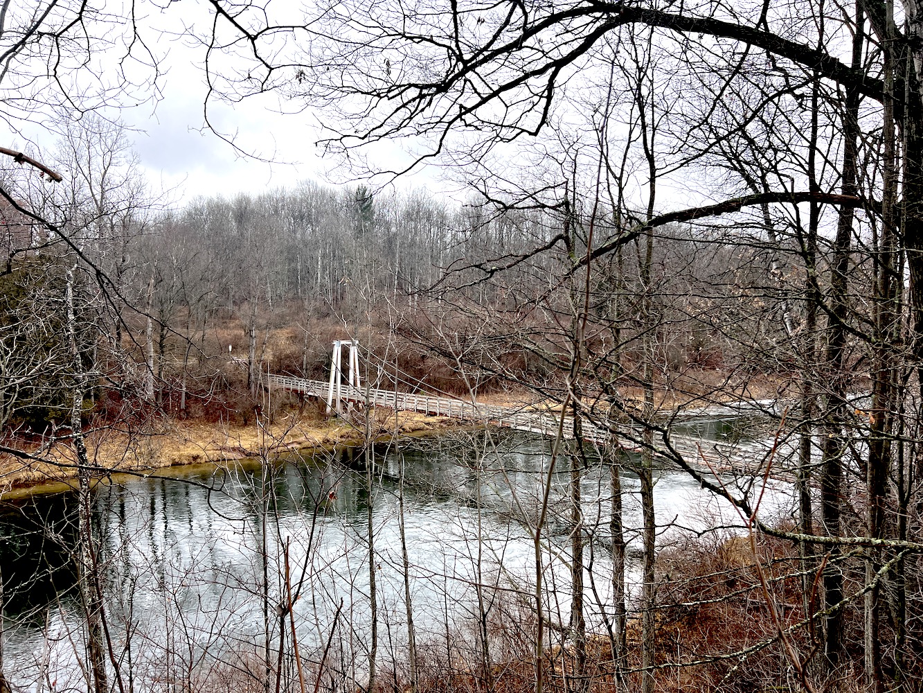 How To Experience the Magic of Fall in Cadillac, MI - Just Short of Crazy