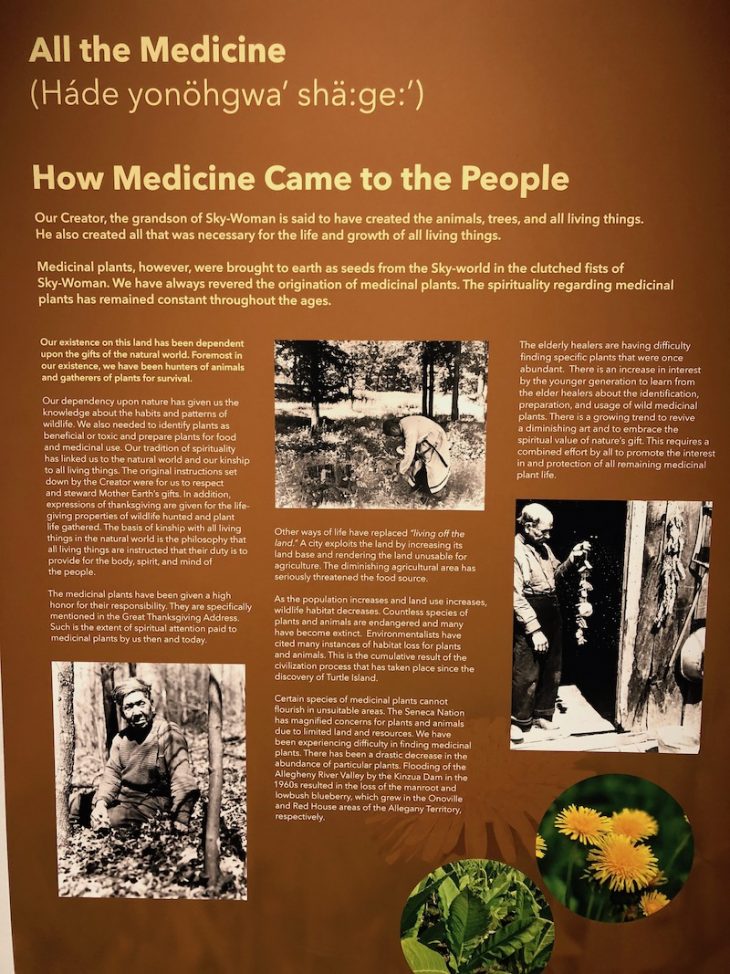 Explore the Seneca Iroquois National Museum - Just Short of Crazy