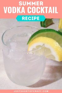 Summer Cocktail Recipe with VDKA 6100 - Just Short of Crazy