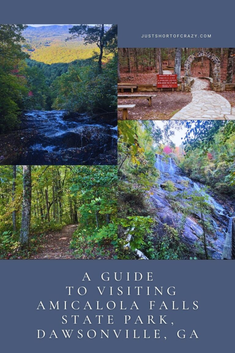 A Guide to Visiting Amicalola Falls State Park, Dawsonville, GA