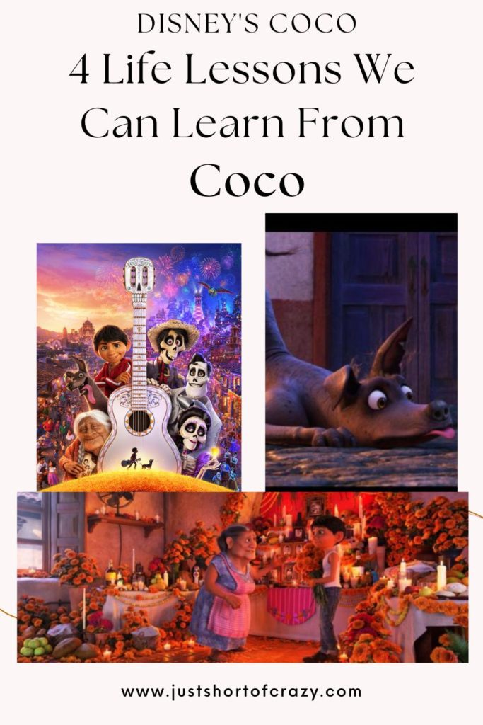 Life Lessons We Can Learn From Coco - Just Short of Crazy